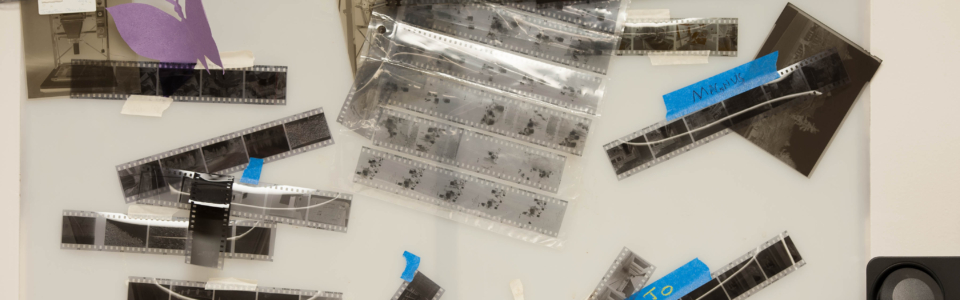 Photo Lab + Lighting Studio - Built Environments