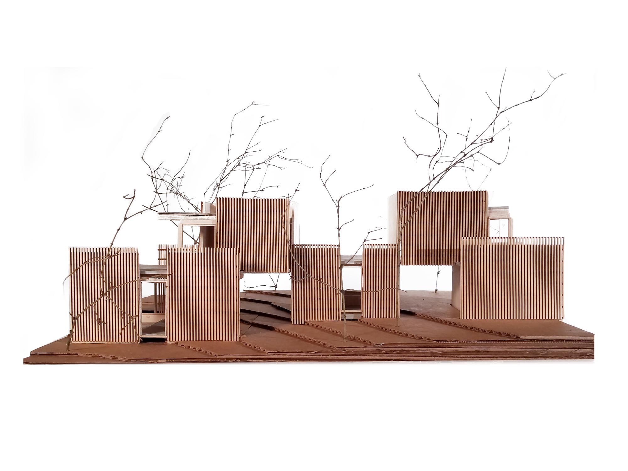 AU_18_505D_Brachvogel_Pavilonis_02 - UW College of Built Environments